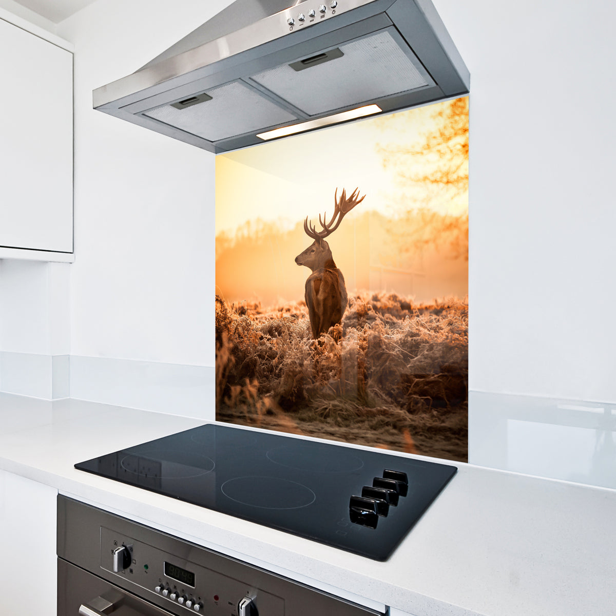 6mm Toughened Printed Kitchen Glass Splashback - Deer — Express Glass ...