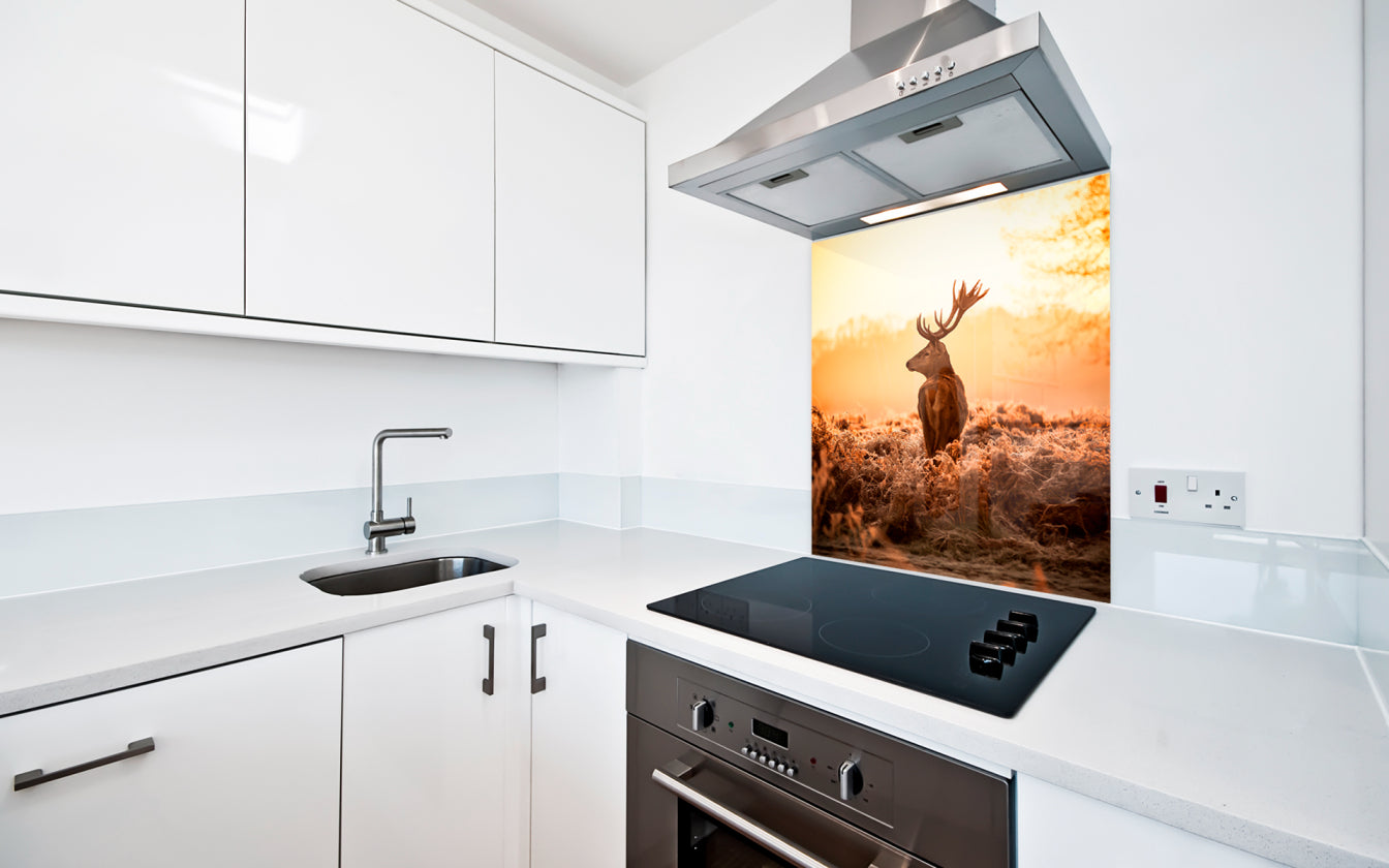 6mm Toughened Printed Kitchen Glass Splashback - Deer — Express Glass ...